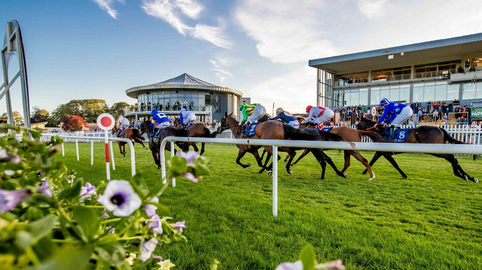 Horse Racing Ireland announce fixture date changes - Naas Racecourse