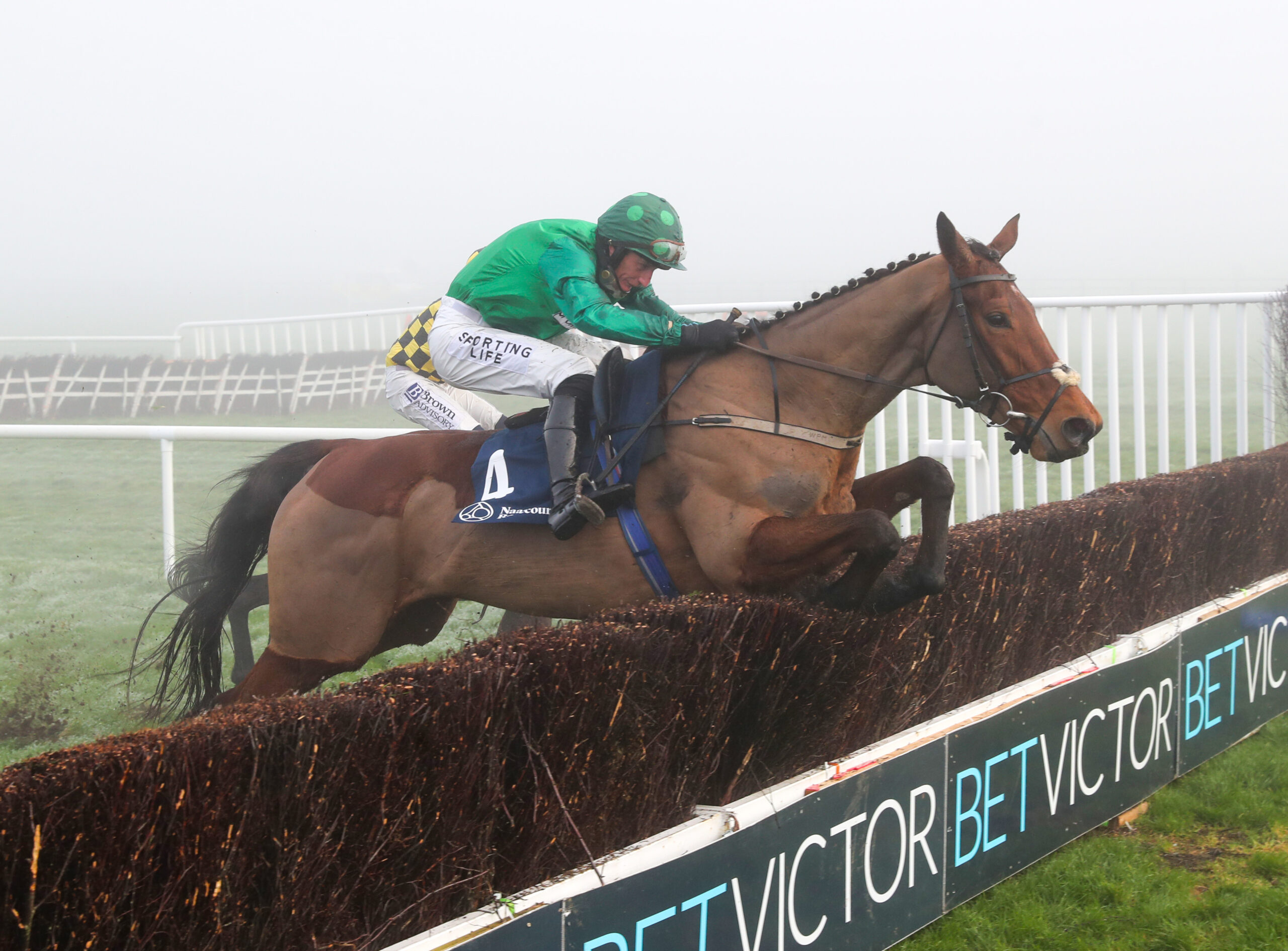 January Jumps - Naas Racecourse