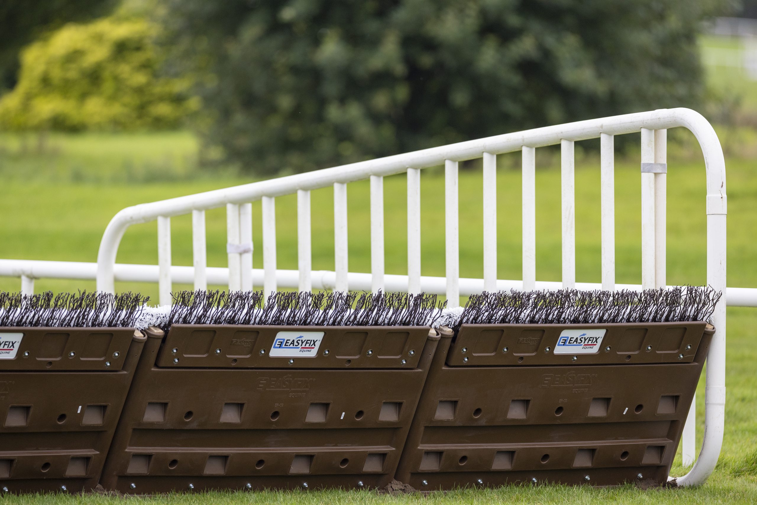 EASYFIX Equine Strengthens Commitment to Irish Racing with Naas ...